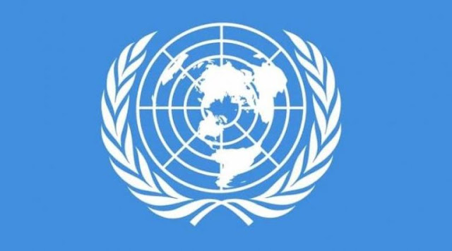 Mengenal Apa Itu Kjokkenmoddinger, Tumpukan Sampah yang Bersejarah