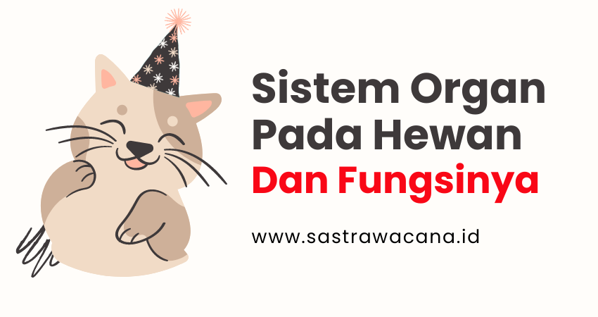 Apa Arti Kontras? Penjelasan Lengkap Menurut KBBI