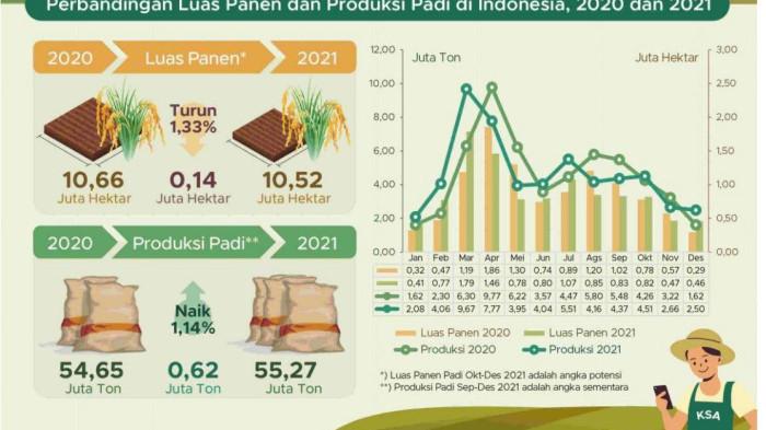 Berdasarkan info grafis yang diberikan, luas panen dan hasil produksi ...