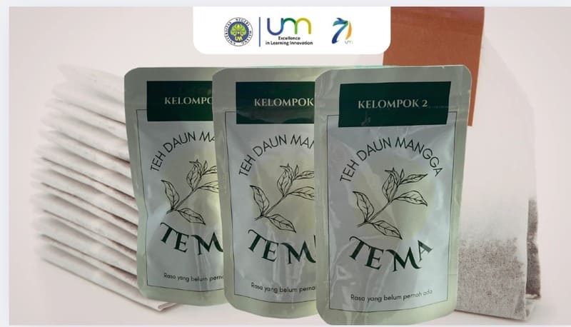 Kembangkan Teh Antioksidan dari Daun Mangga, Tim UM Sabet Juara 2 LKTI ...