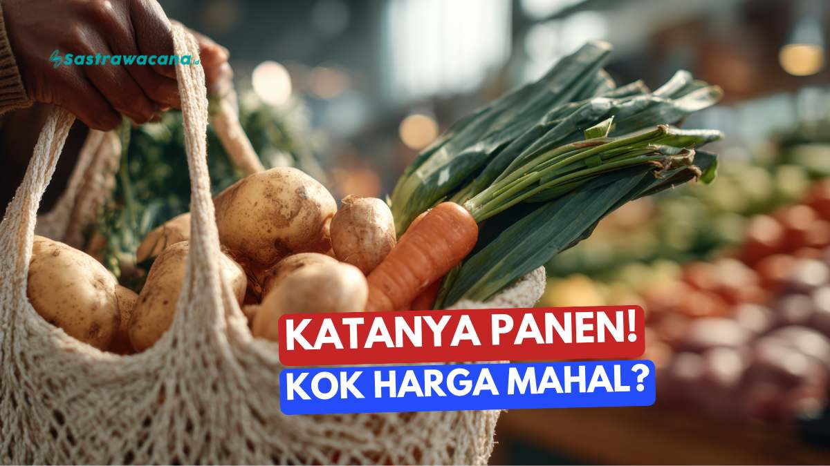 Katanya Musim Panen, Tapi Kok Mahal? Terungkap Penyebab Harga Beras dan ...